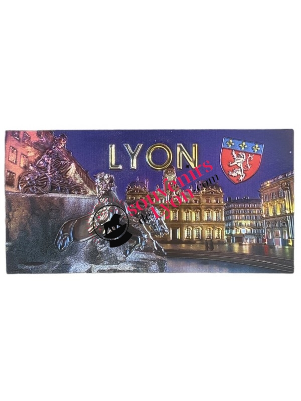 Magnets Lyon (2)